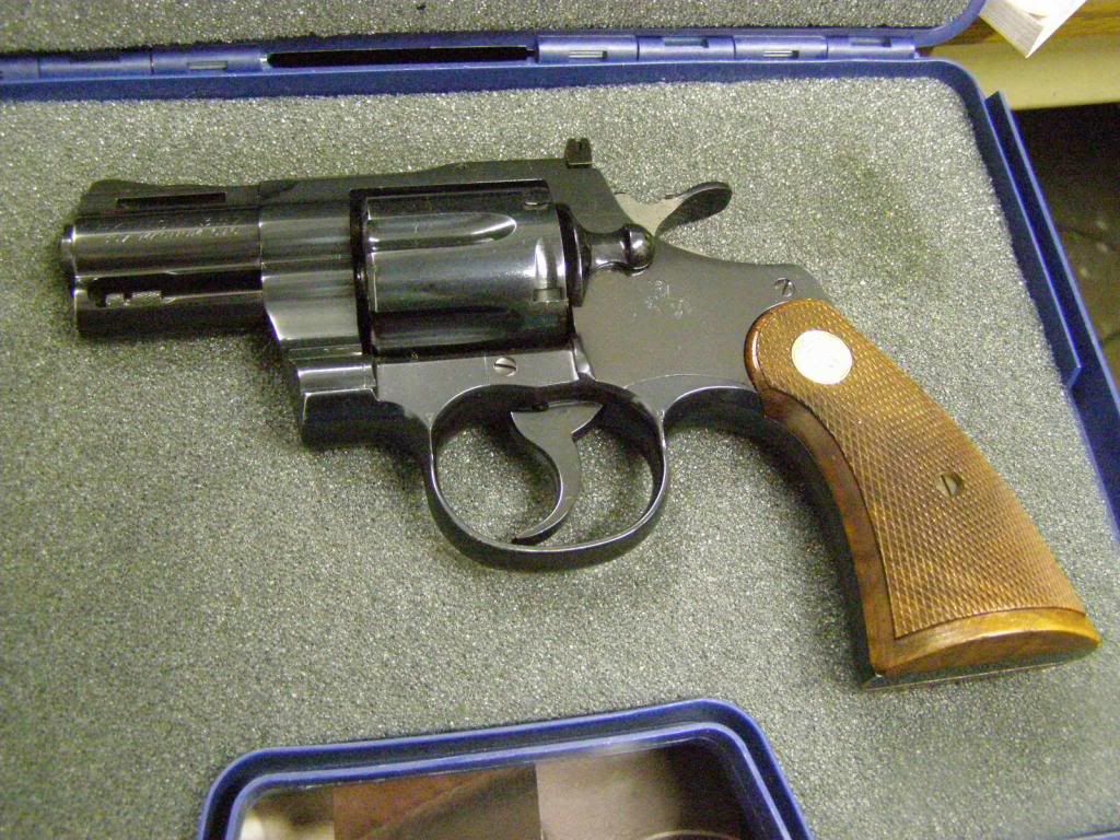 my first PYTHON..... | Colt Forum