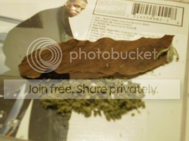 How To Roll A Blunt Out Of Fronto Leaf & Bambu!!! | Grasscity Forums ...
